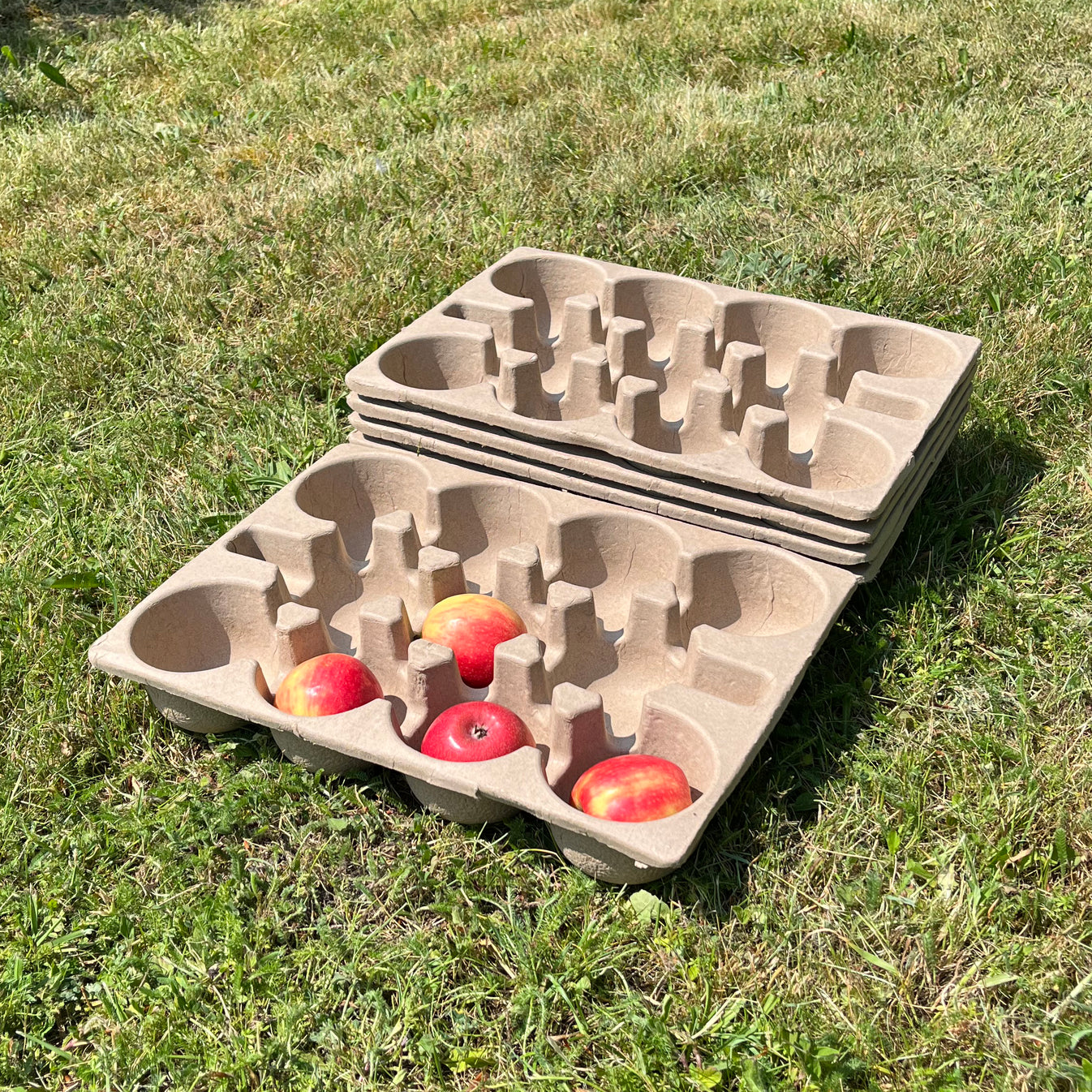 Paper Fibre Apple Storage Trays - Pack of 5 – Selections