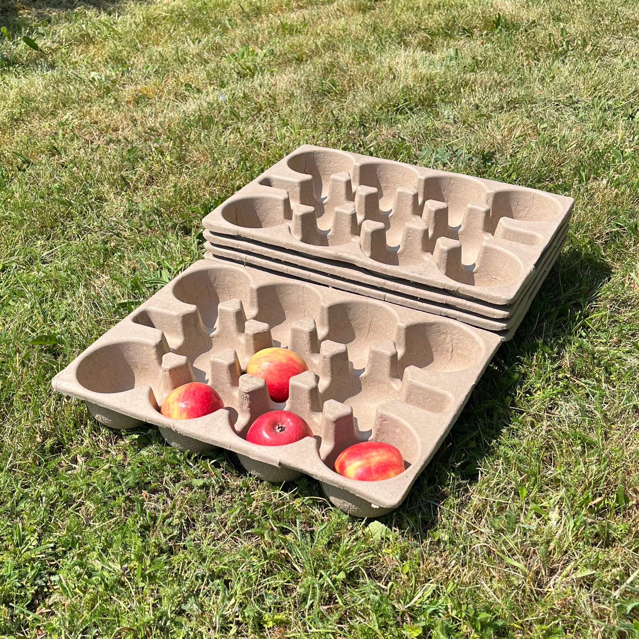 Paper Fibre Apple Storage Trays - Pack of 5 – Selections