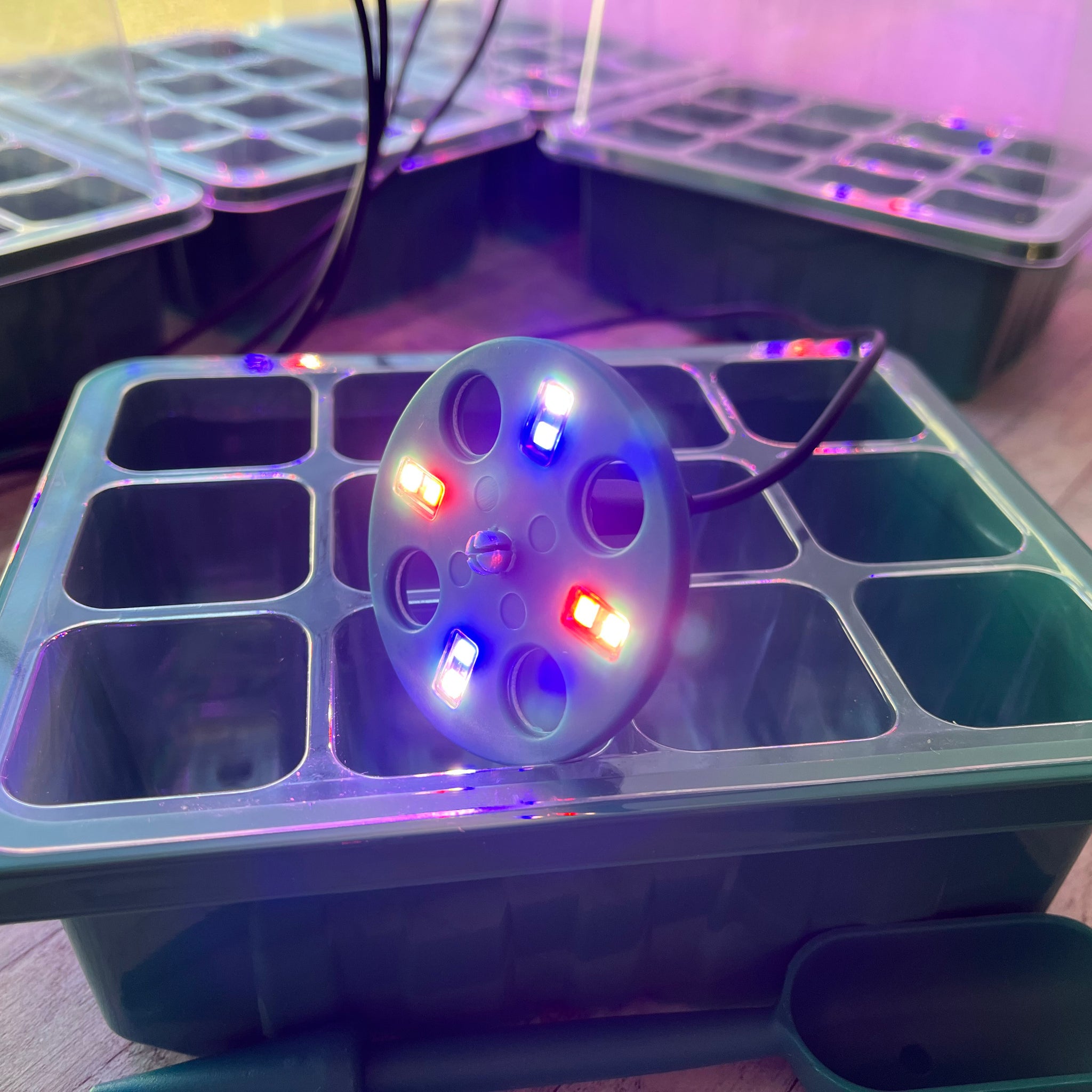Plant Propagator 12 Cell Seed Tray Set Full Spectrum Grow Lights 5 ...