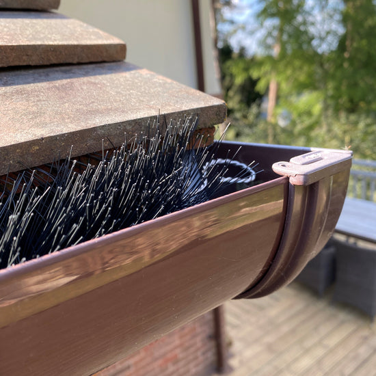Black Gutter Brush Leaf Guard (4m) I Garden Selections
