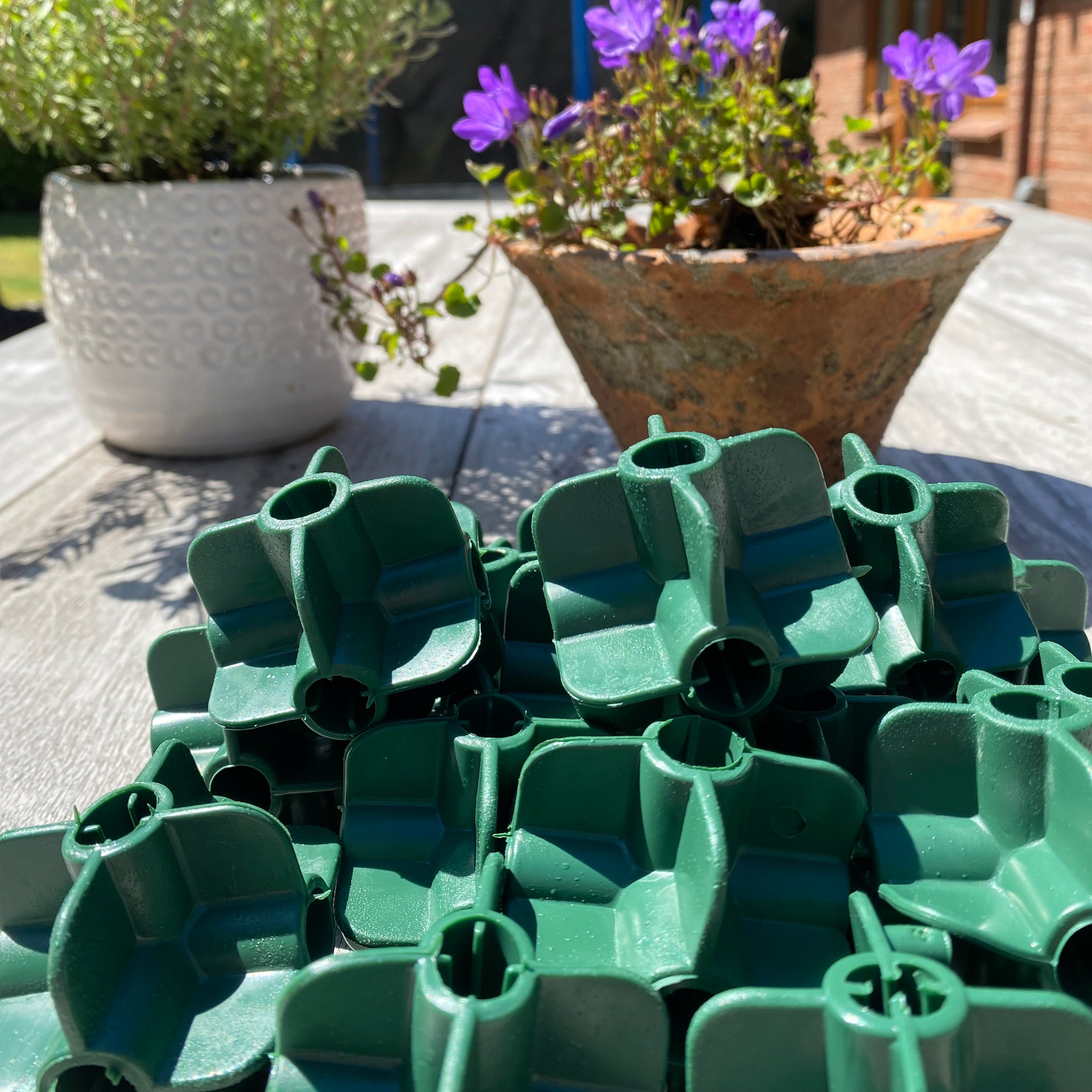 Bamboo Cane Connecting Balls Flexible Fruit Cage Connectors (40 ...