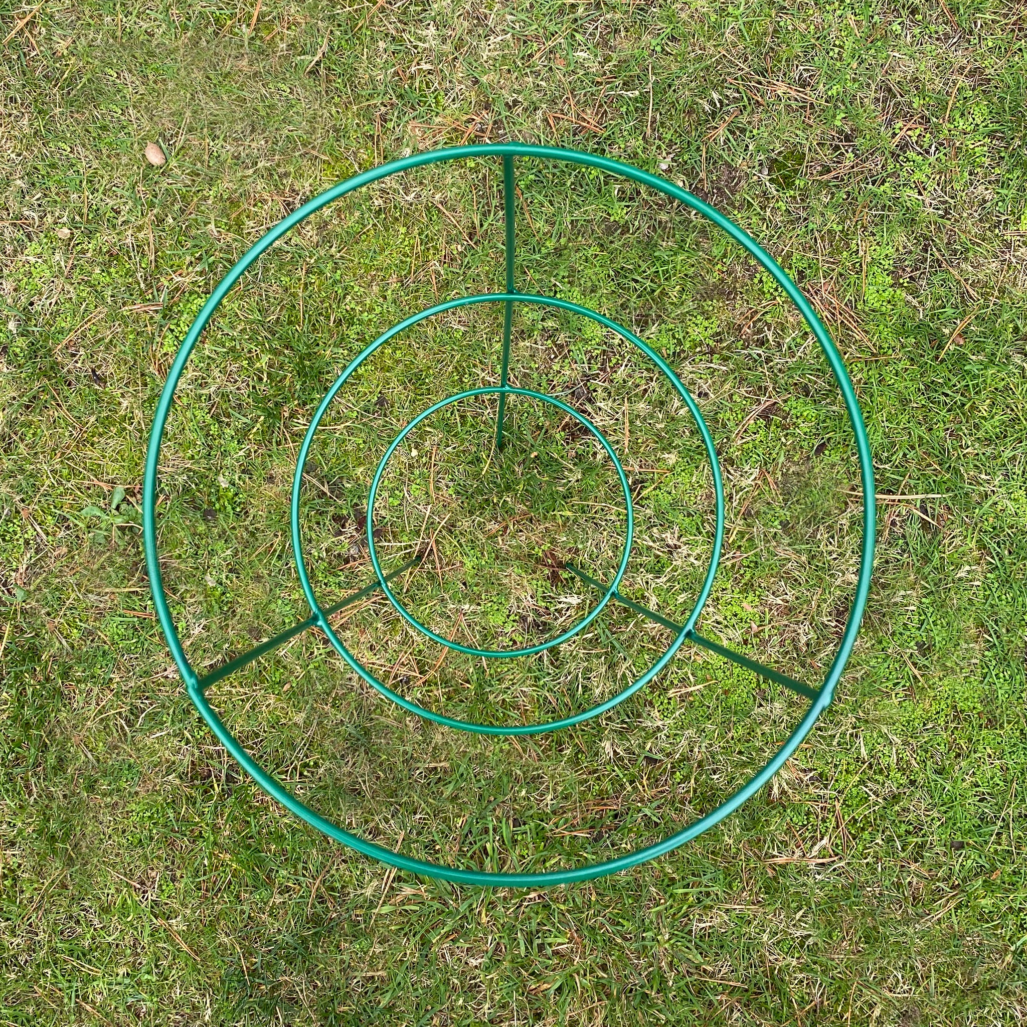 Conical Metal Garden Herbaceous Plant Support Rings (60cm) - Pack of 5 ...