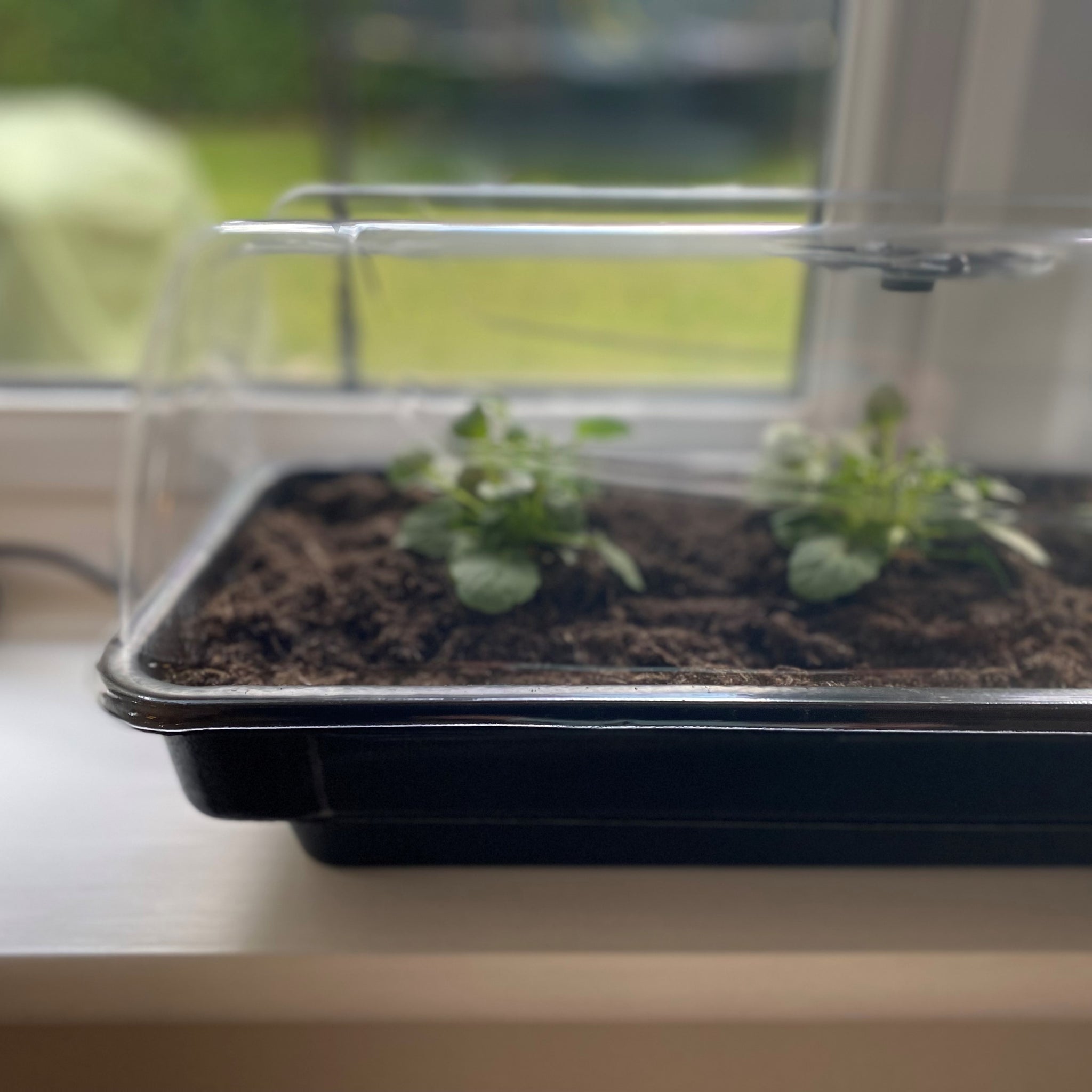 Jumbo Windowsill Heated Plant Propagator (80cm) – Selections