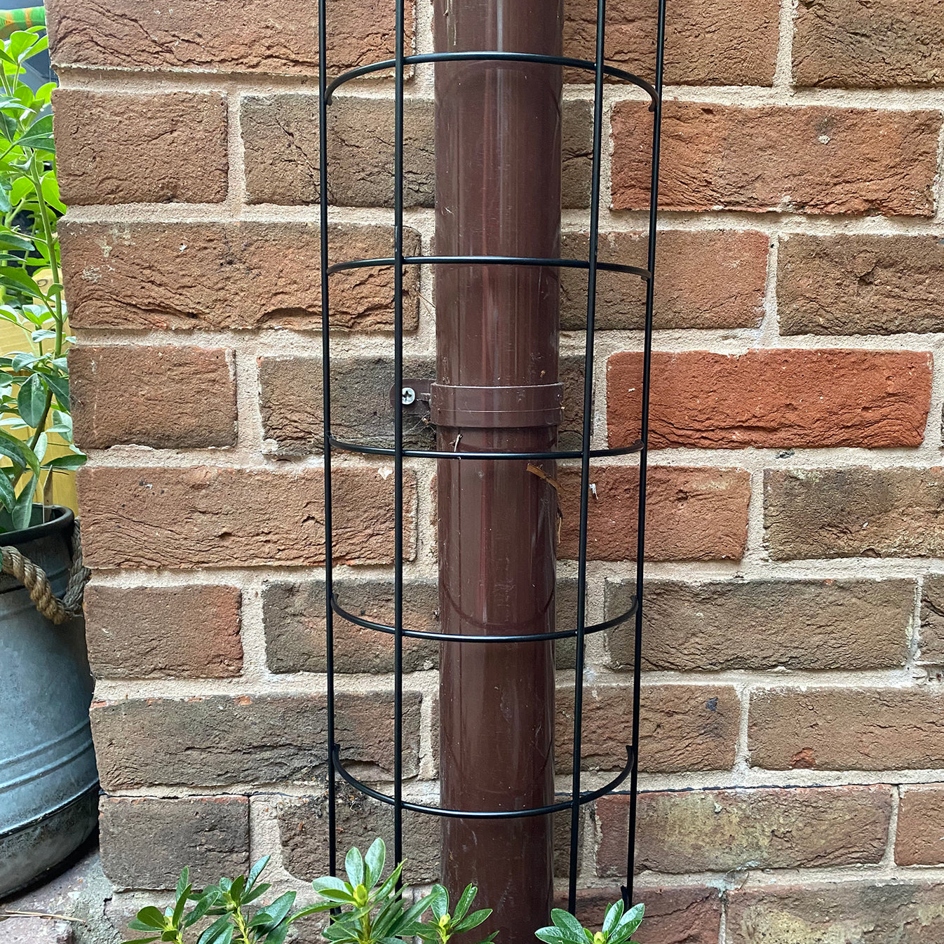 Metal Tube Trellis Semi Circular for Drainpipes - Pack of 2 – Selections