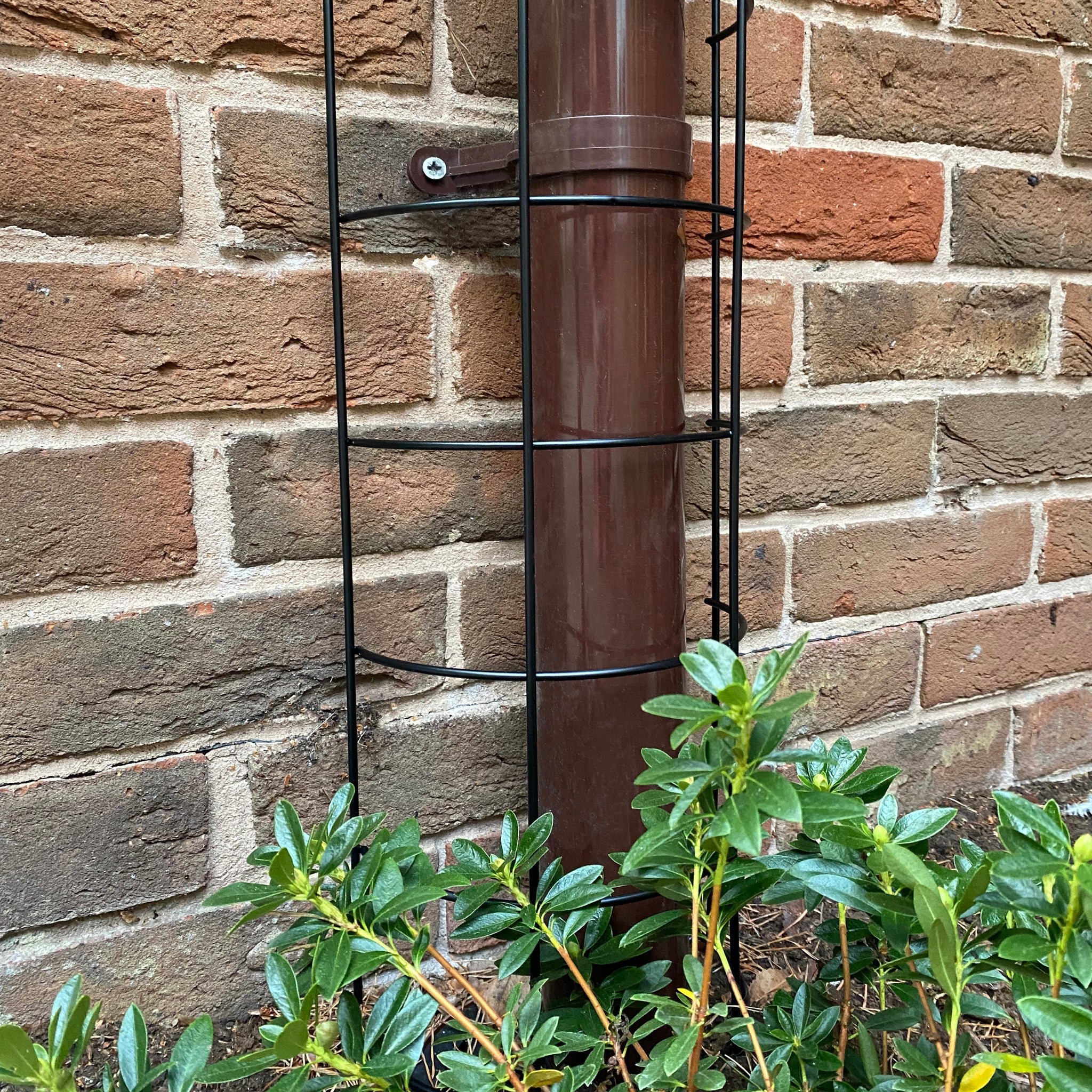 Metal Tube Trellis Semi Circular for Drainpipes - Pack of 2 – Selections