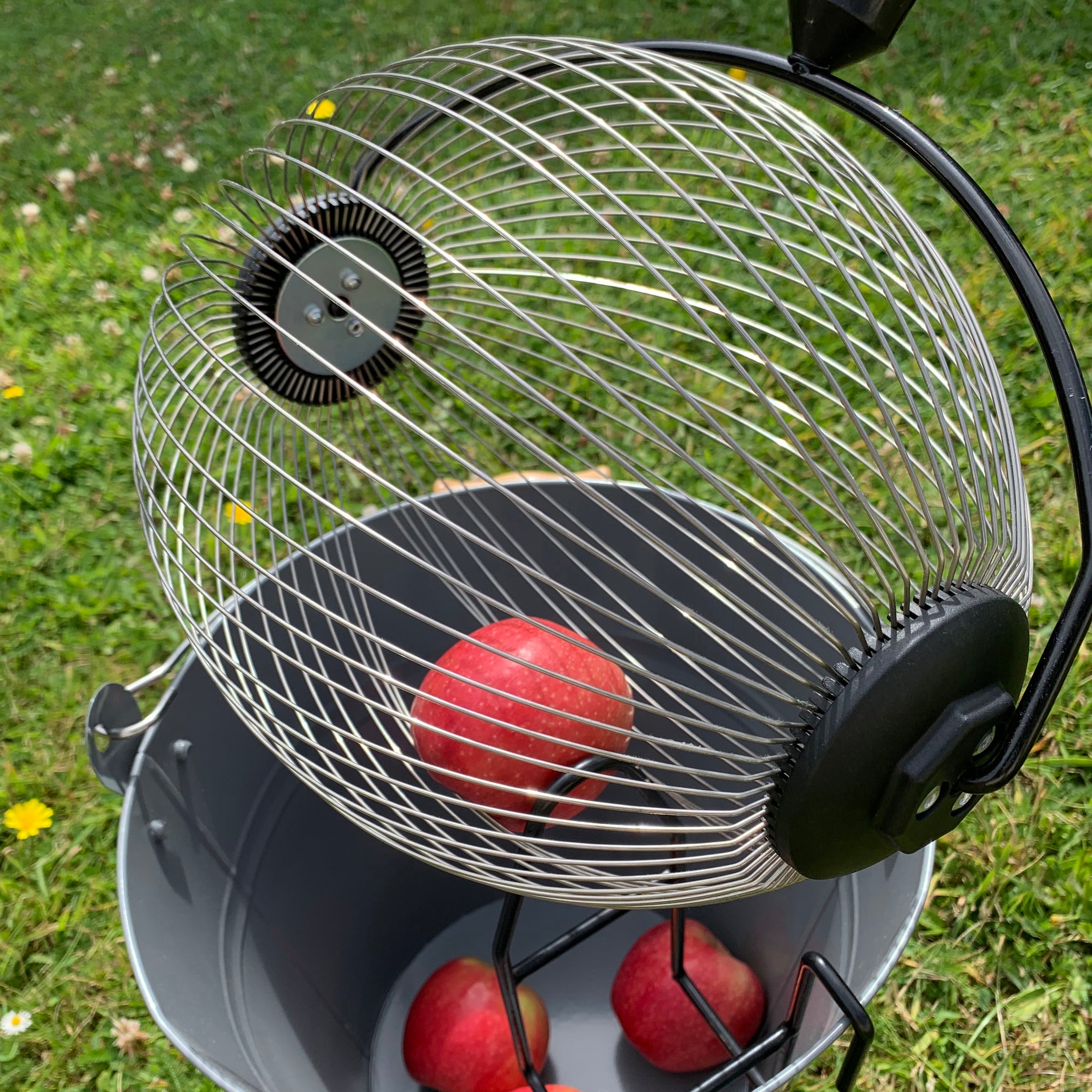 Telescopic Apple Collector with Bucket Clip – Selections
