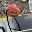 Telescopic Apple Collector with Bucket Clip – Selections