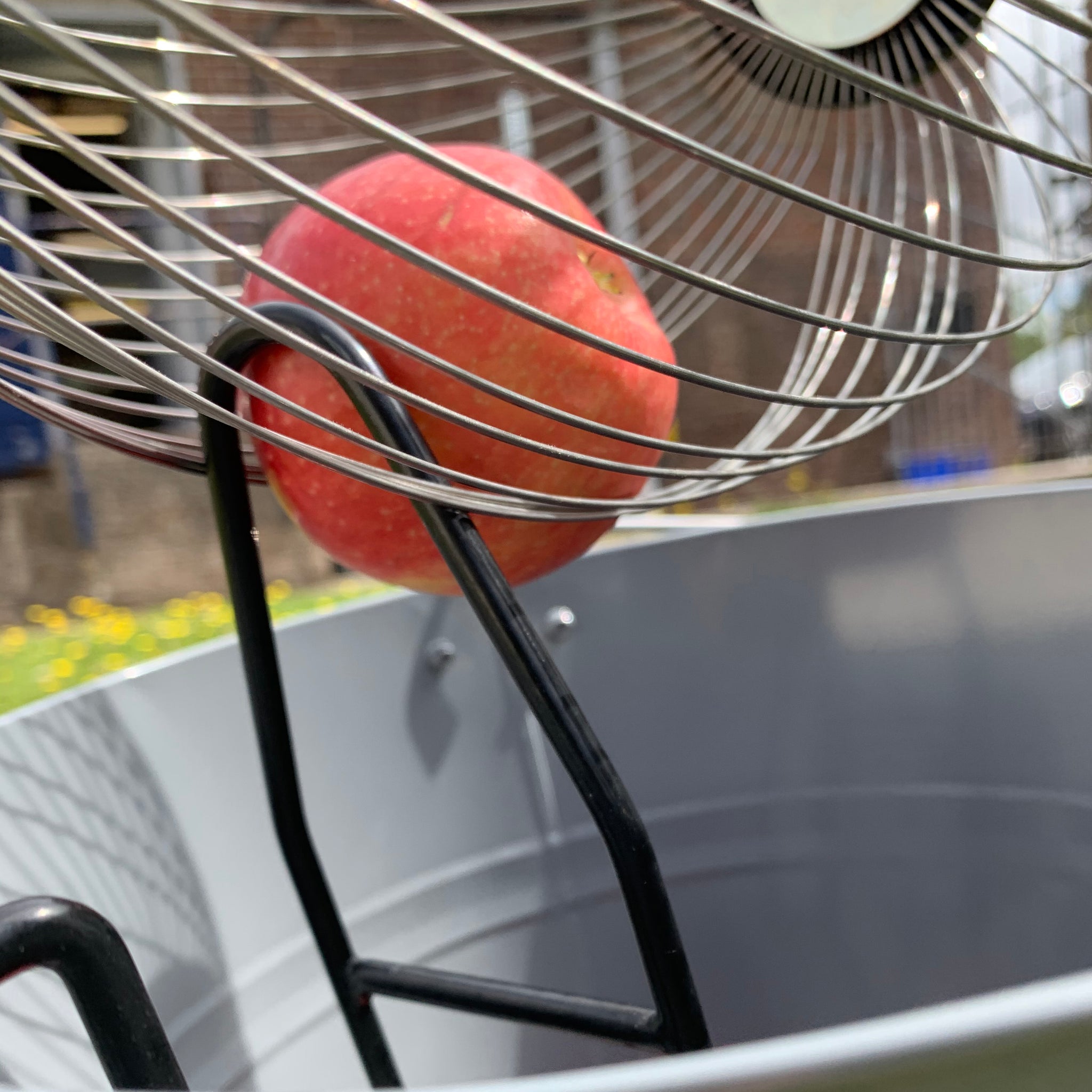 Telescopic Apple Collector with Bucket Clip – Selections