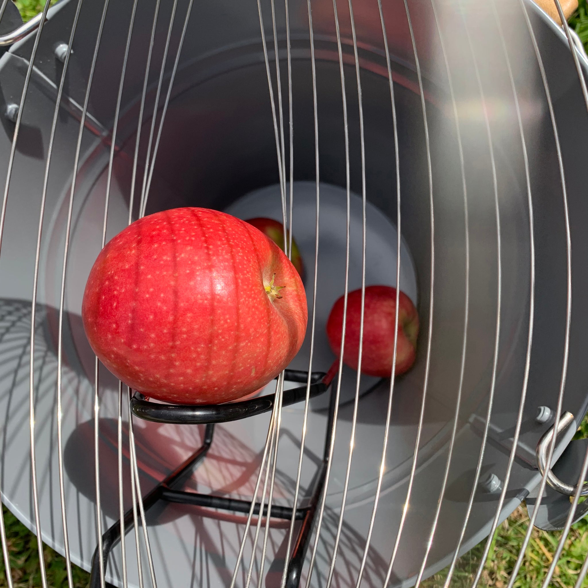 Telescopic Apple Collector with Bucket Clip – Selections