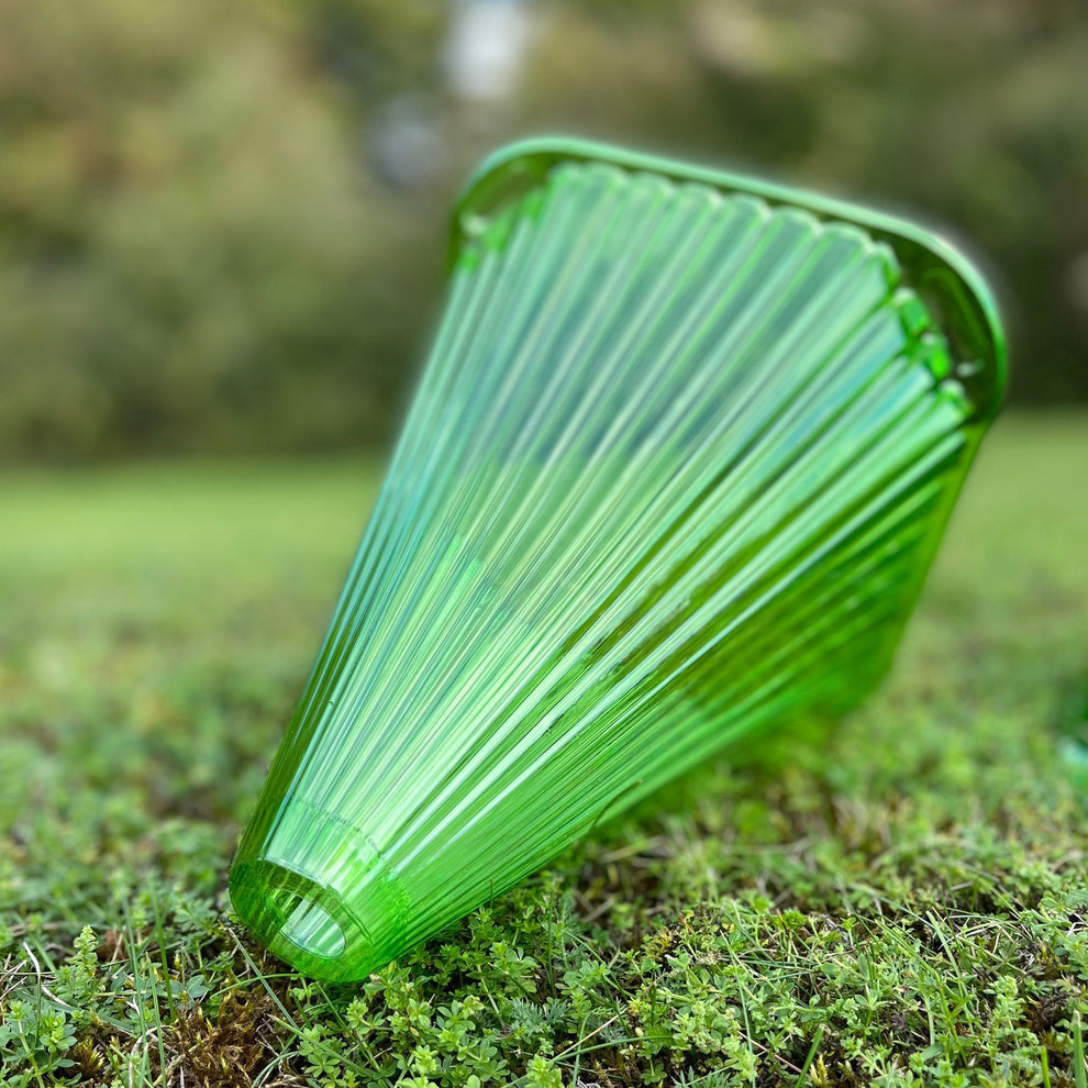 Plastic Plant Protection Cloche Covers - Pack of 24 – Selections