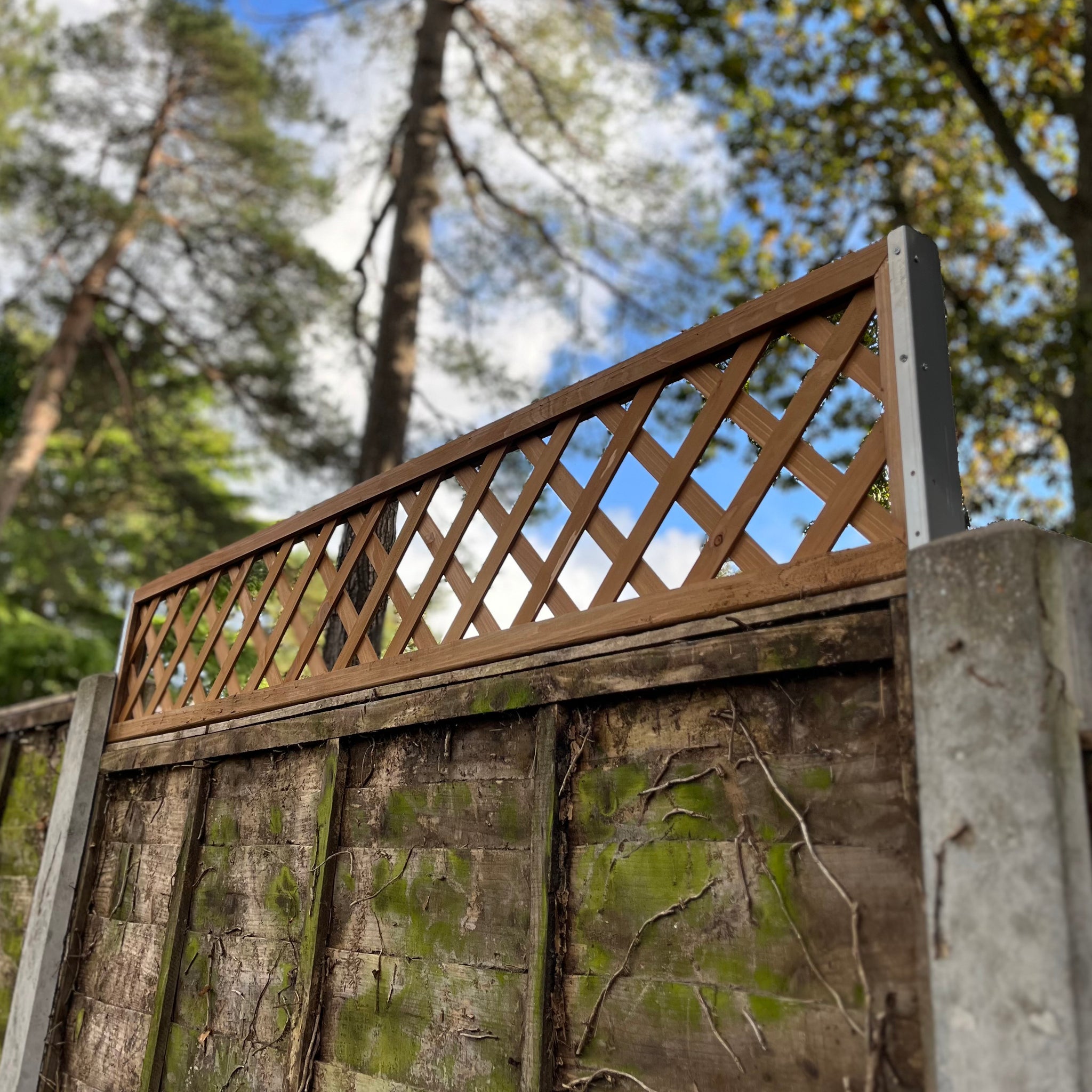 Wooden Framed Trellis Panels Fence Toppers (180cm x 30cm) with Bracket ...