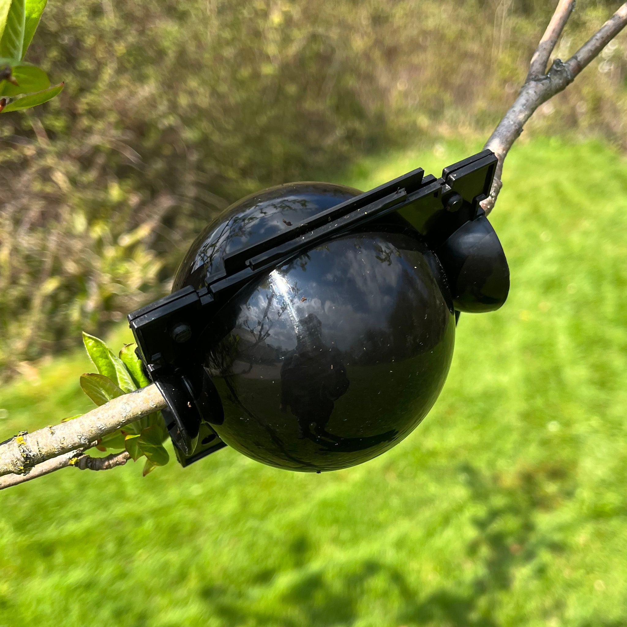 Plant Grafting Air Layering Set of 12 Root Propagating Balls – Selections