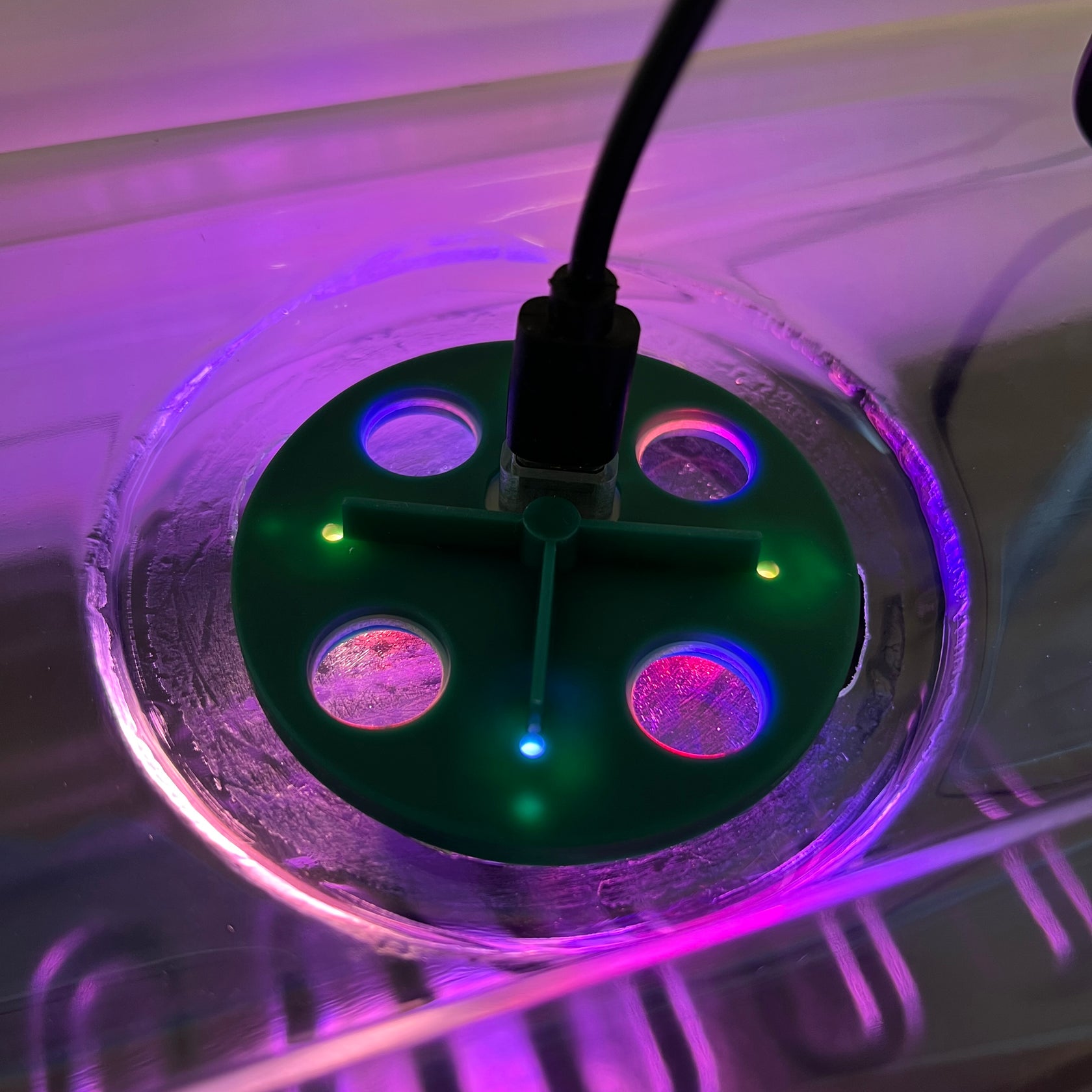 LED Full Spectrum Grow Lights for Propagators - Pack of 2 – Selections