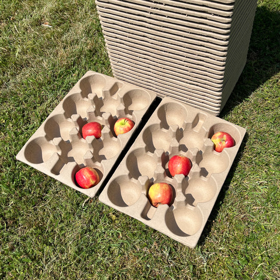 Paper Fibre Apple Storage Trays - Pack of 5 – Selections