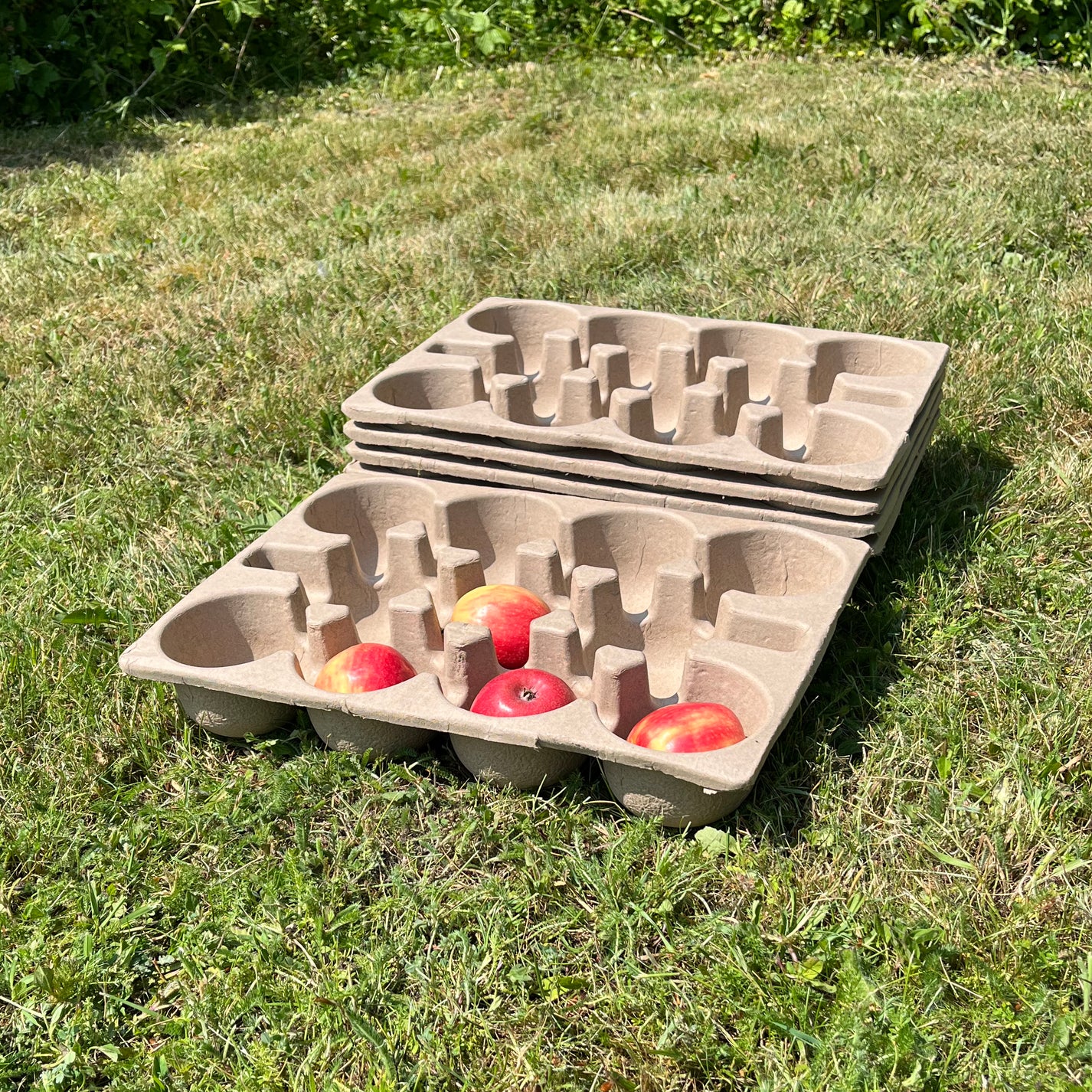 Paper Fibre Apple Storage Trays - Pack of 5 – Selections