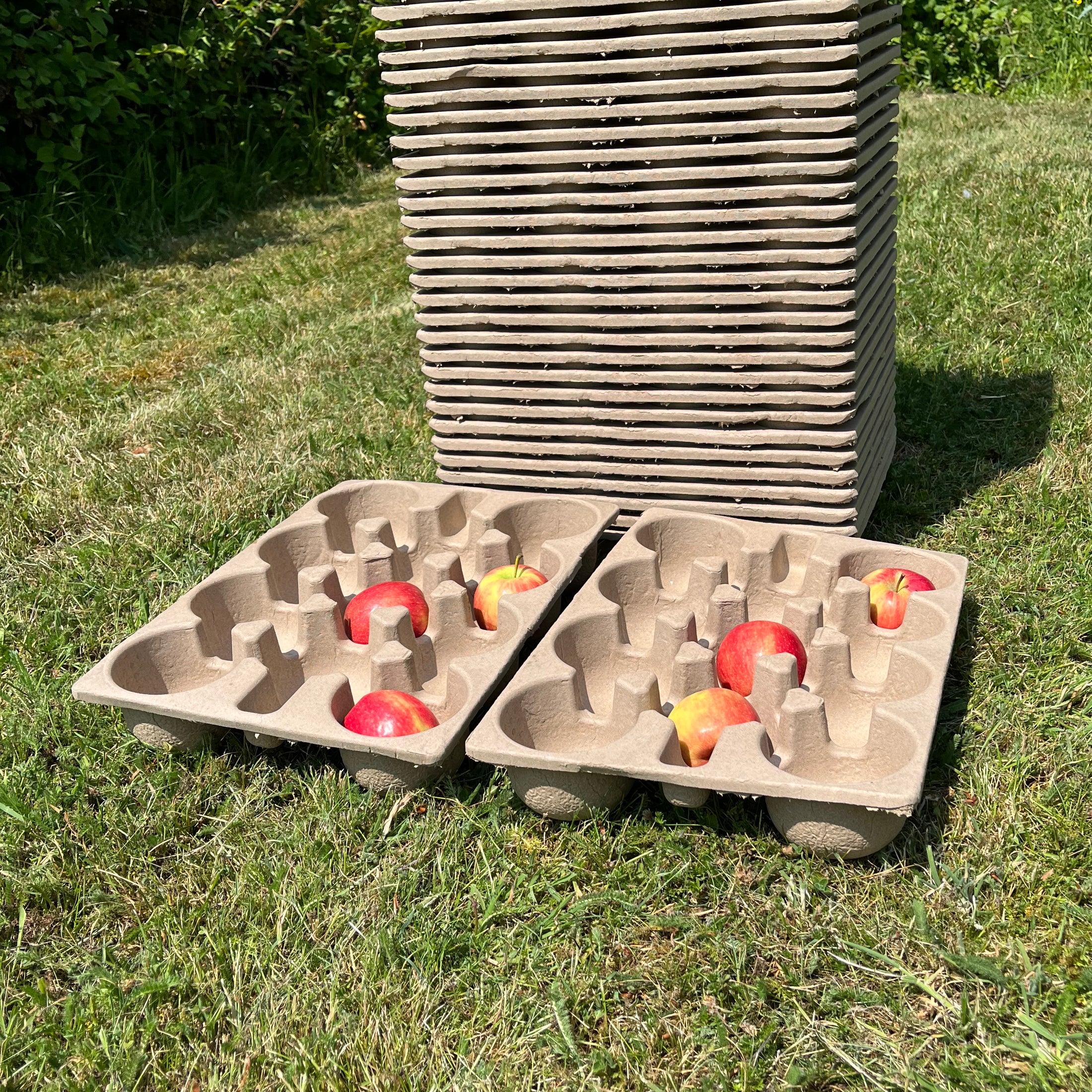 Paper Fibre Apple Storage Trays - Pack of 50 – Selections