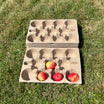Paper Fibre Apple Storage Trays - Pack of 5 – Selections