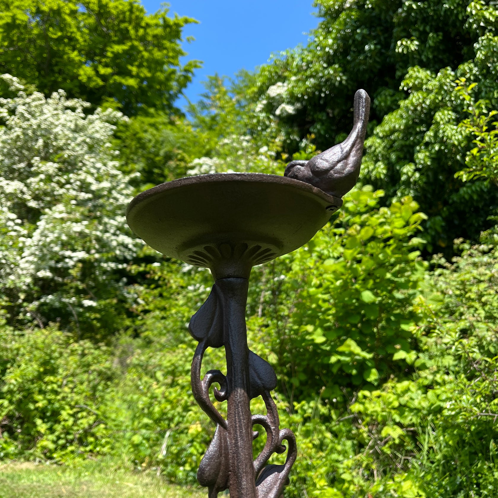 Ornate Cast Iron Bird Bath Ground Stake – Selections