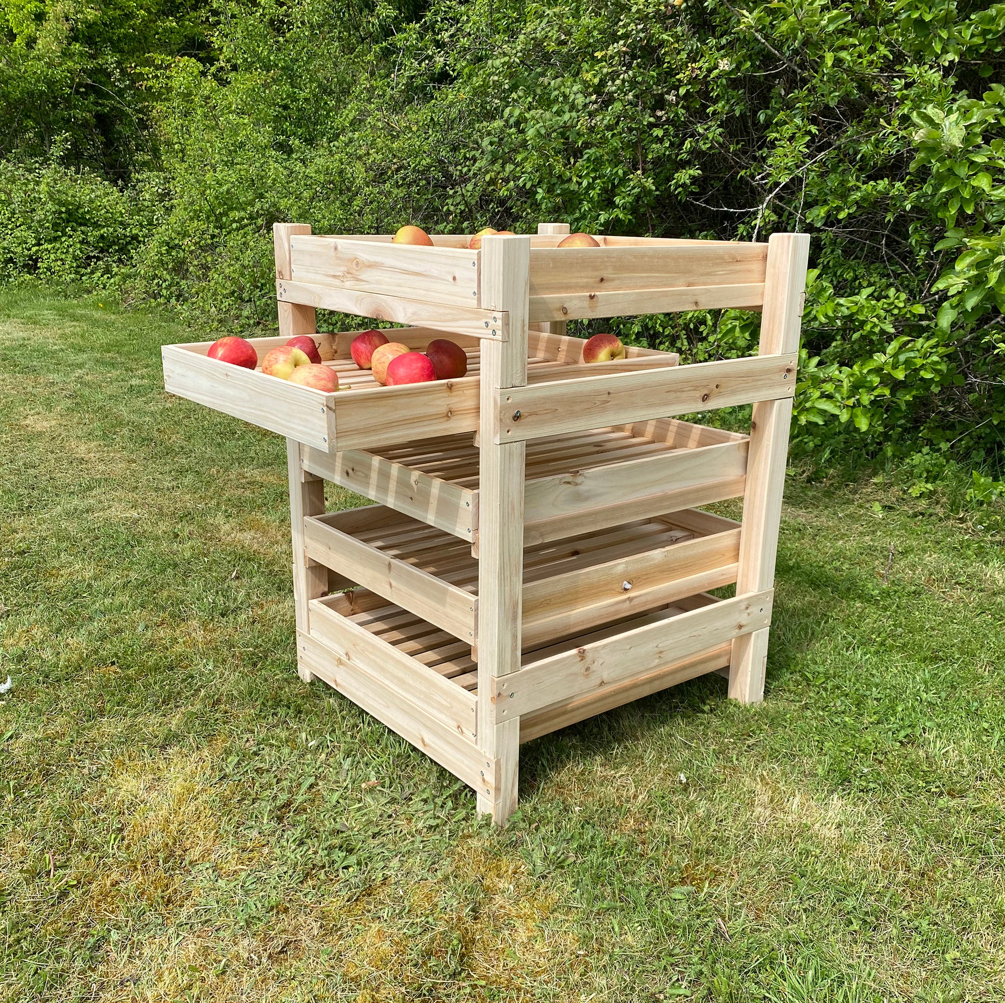 Traditional Wooden Apple Storage Rack (5 Drawer) – Selections