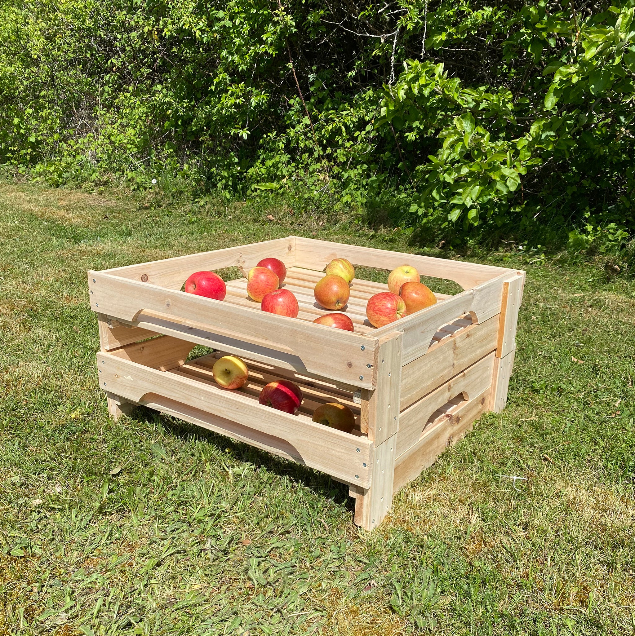 Traditional Wooden Apple Storage Trays (Set of 4) – Selections