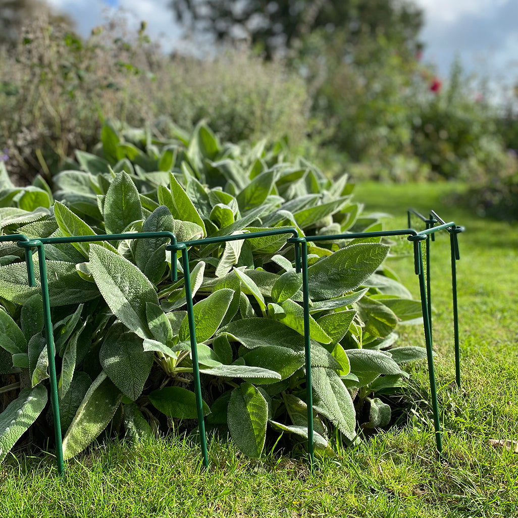 Metal Garden Plant Support I Garden Selections – Page 2