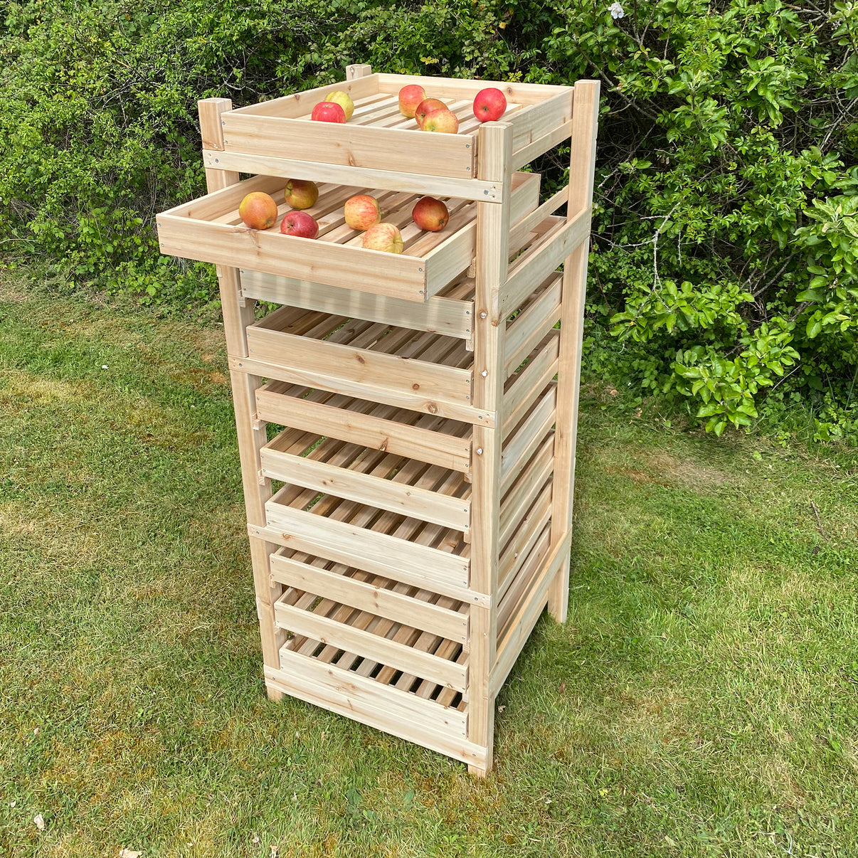 Traditional Wooden Apple Storage Rack (10 Drawer) – Selections